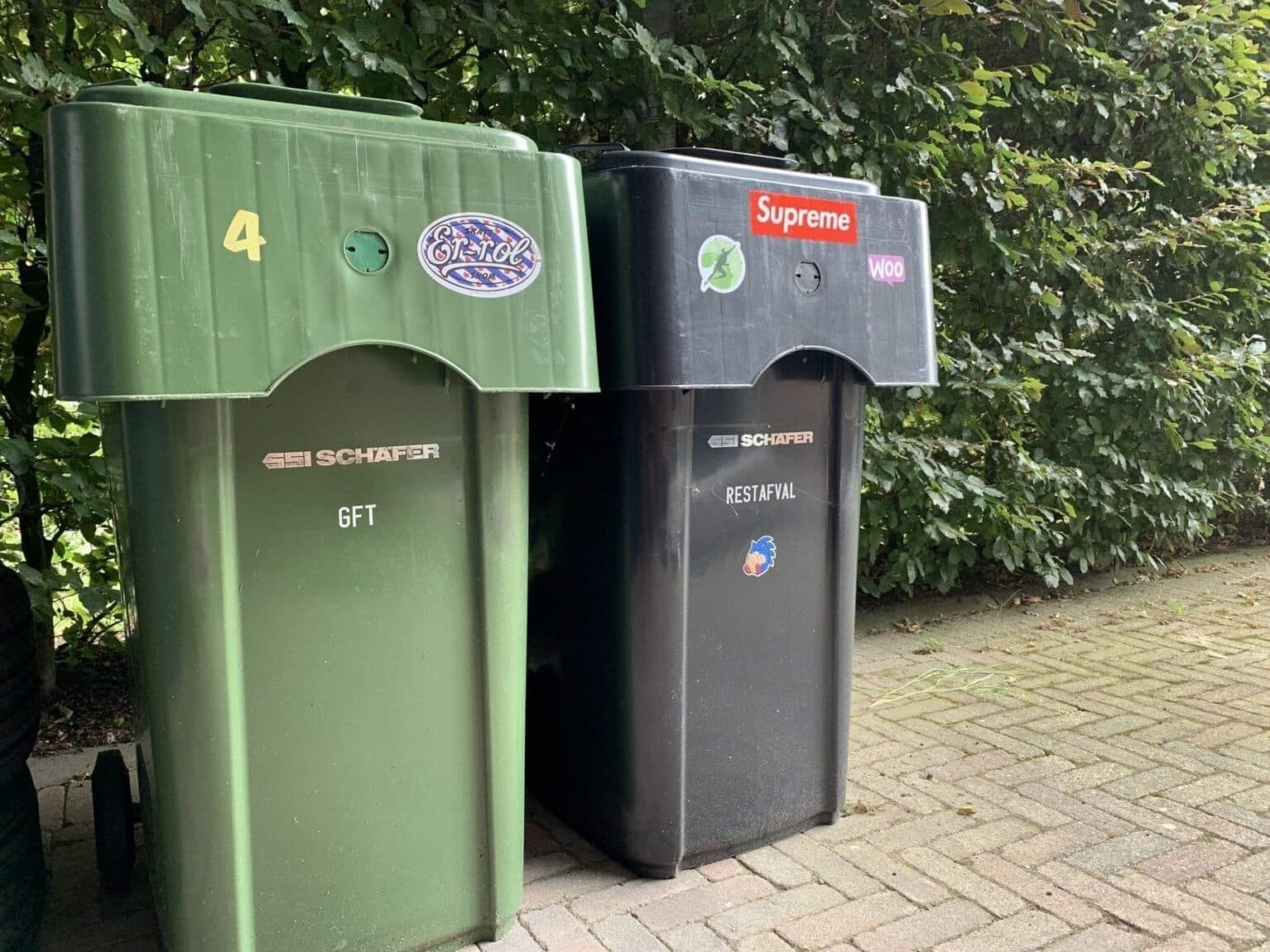 Hoe houd je de groene container (gft bak) schoon in de zomer - Ecowijs