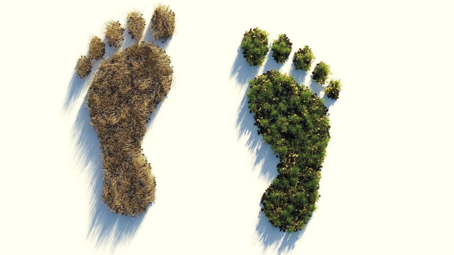Wat is een ecologische voetafdruk, en hoe meet je die van jou? - Ecowijs